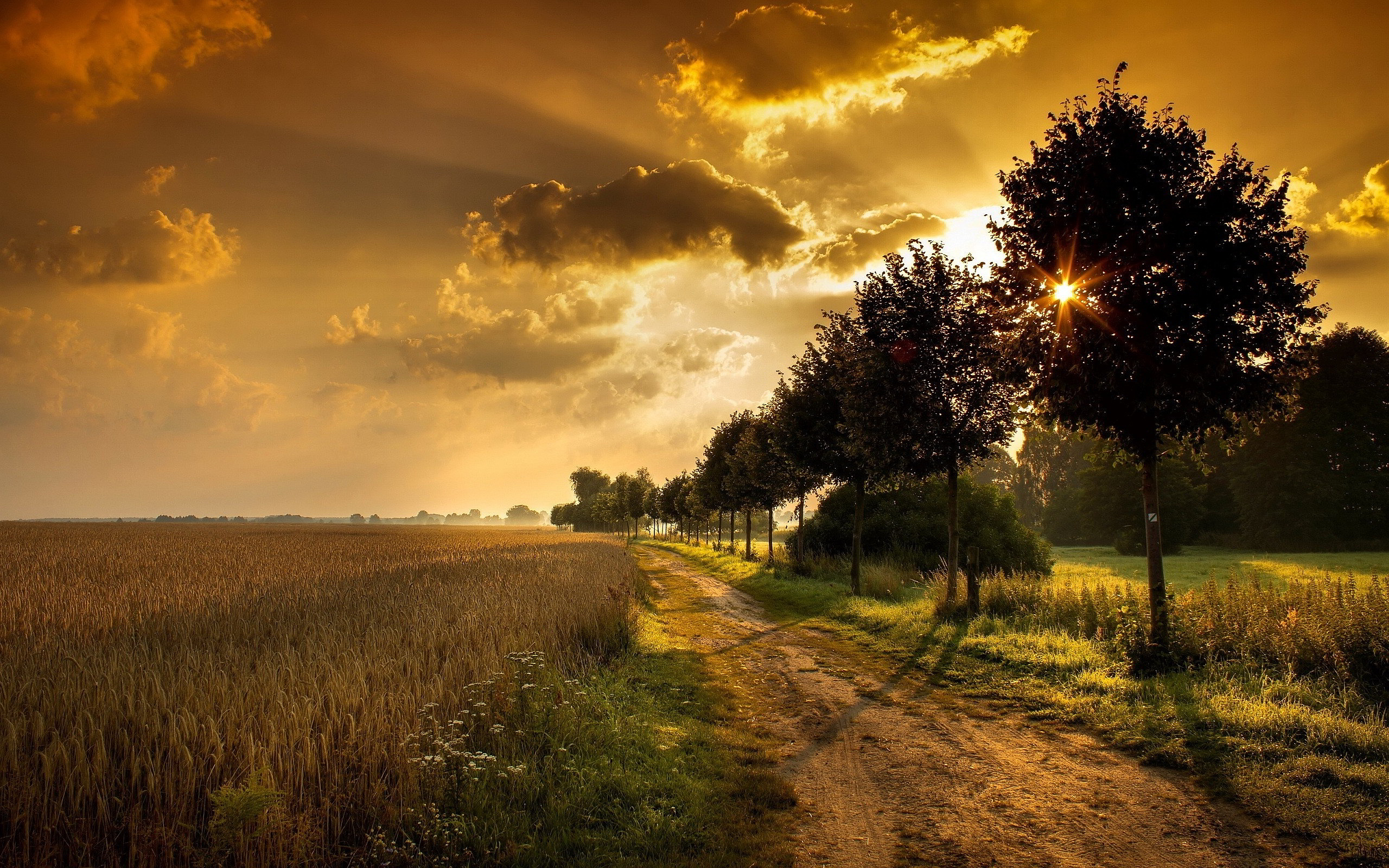 Sunset Countryside - 2560x1600 Wallpaper - teahub.io