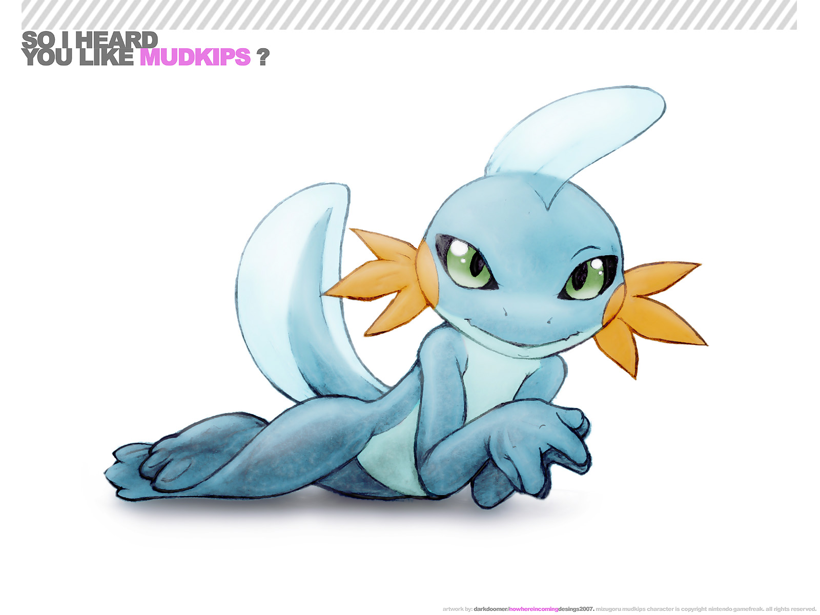 Pokemon Mudkip Wallpaper - Cartoon - 1600x1200 Wallpaper - teahub.io