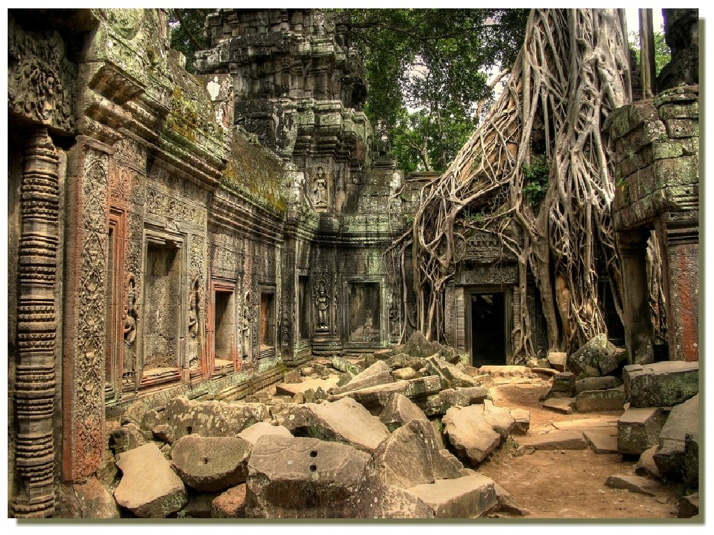 Ta Prohm - 1024x768 Wallpaper - teahub.io