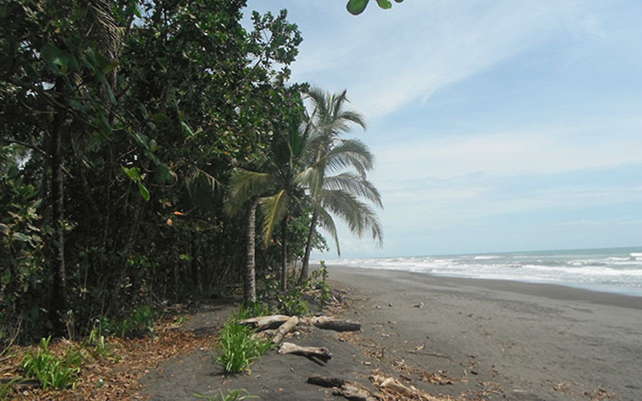 Beach Ridge - 1280x800 Wallpaper - teahub.io