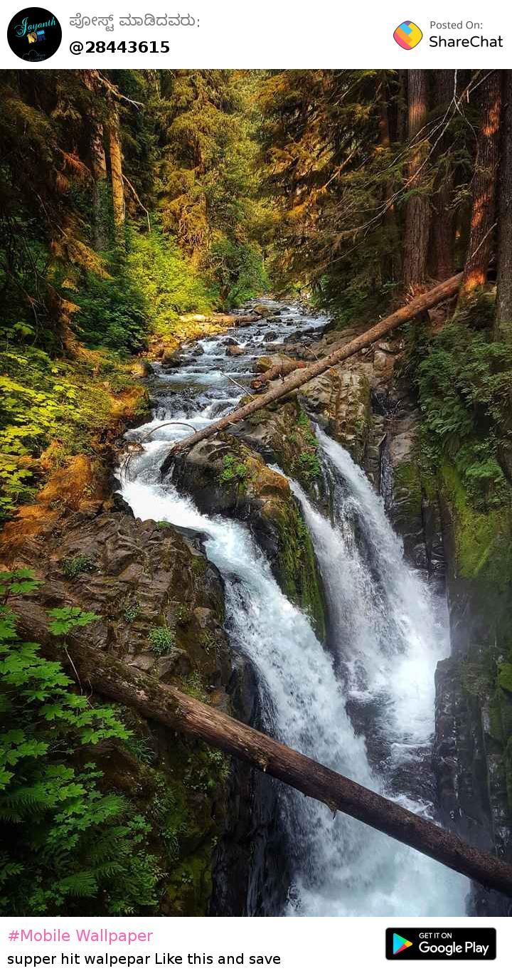 Olympic National Park, Sol Duc Falls - 720x1364 Wallpaper - teahub.io