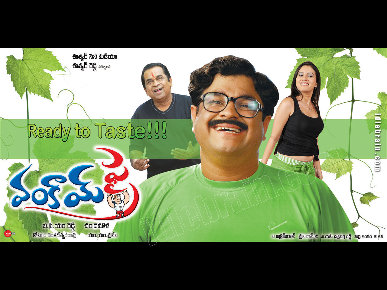 Vankay Fry - Grape Leaves - 1280x960 Wallpaper - teahub.io