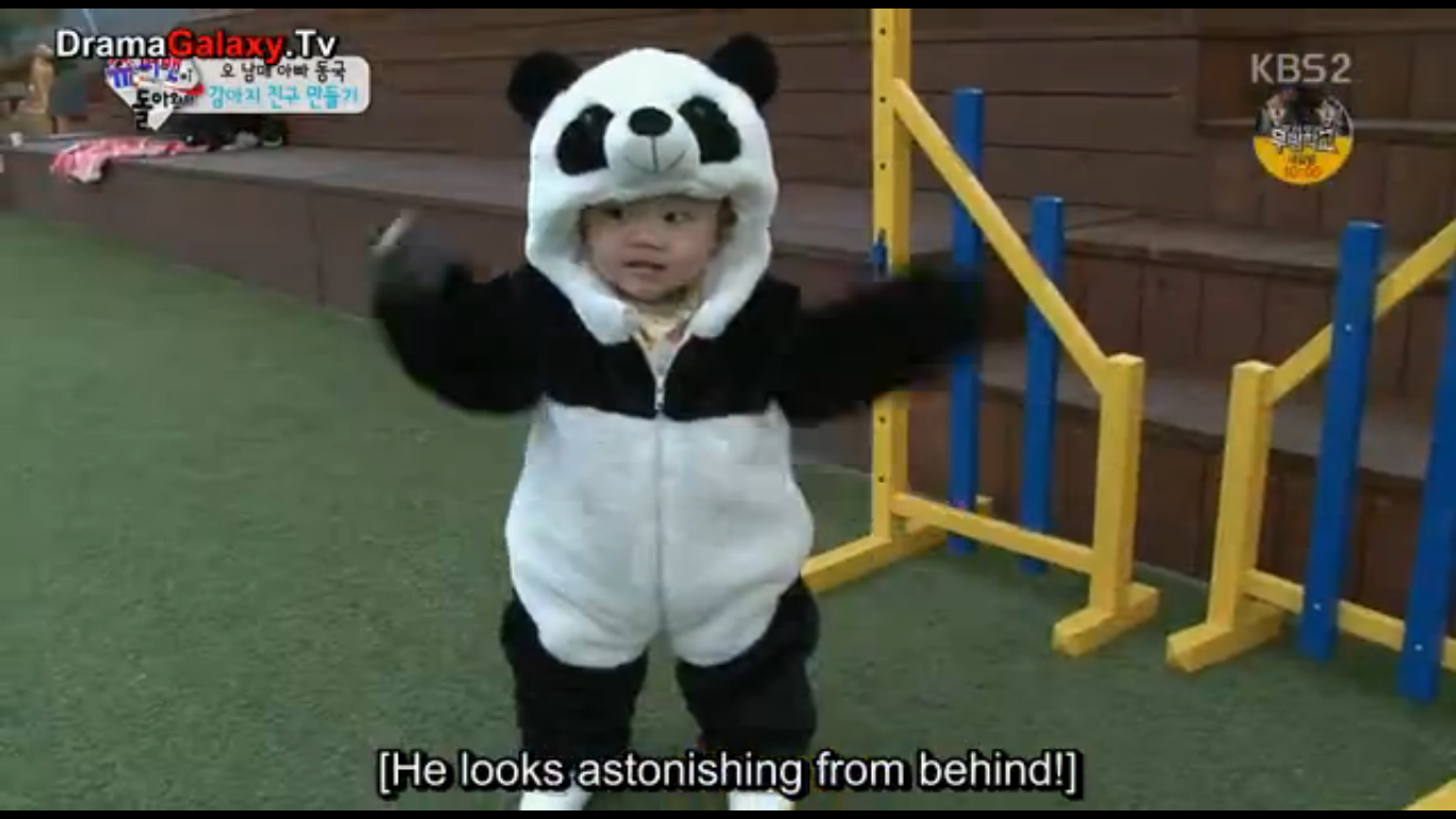 Cute Panda Daebak - Daebak Return Of Superman - 1366x768 Wallpaper ...