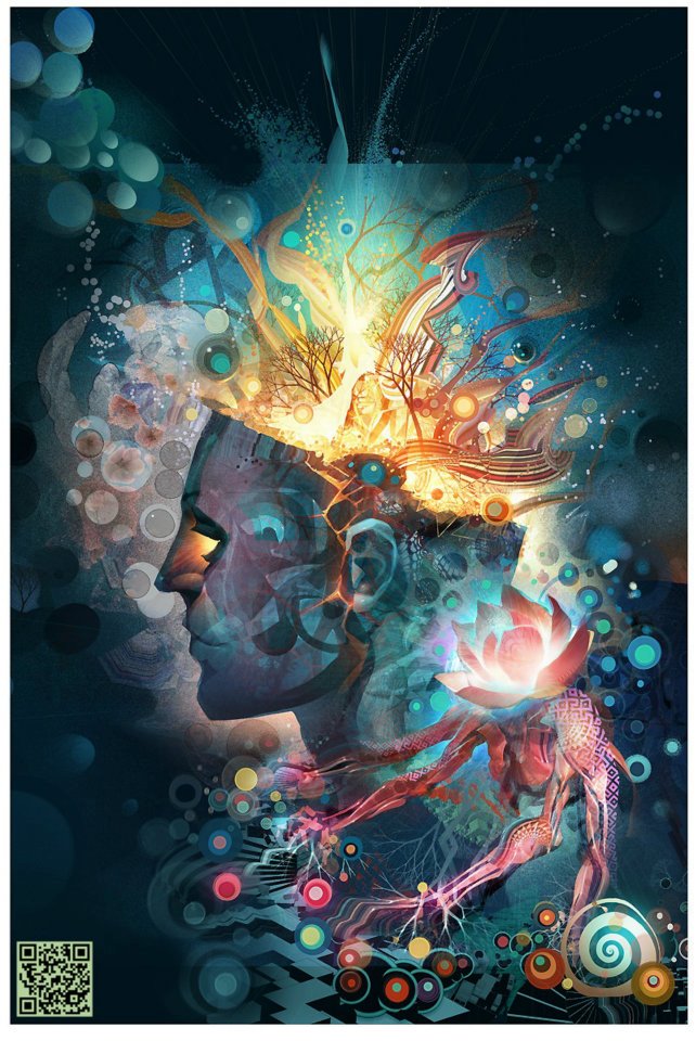 Human Experience Harmonic Transformation - 642x960 Wallpaper - teahub.io
