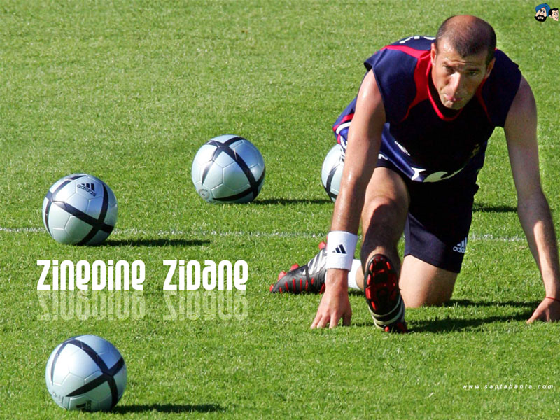 Zinedine Zidane - Zinedine Zidane Headbutt - 800x600 Wallpaper - teahub.io