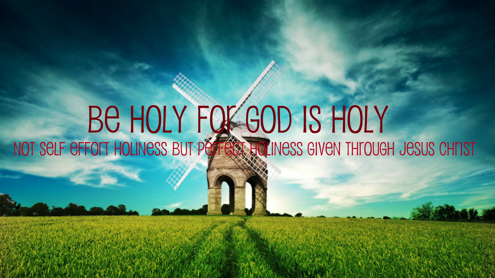 Grass Nature - Holy For God Is Holy - 1920x1080 Wallpaper - teahub.io