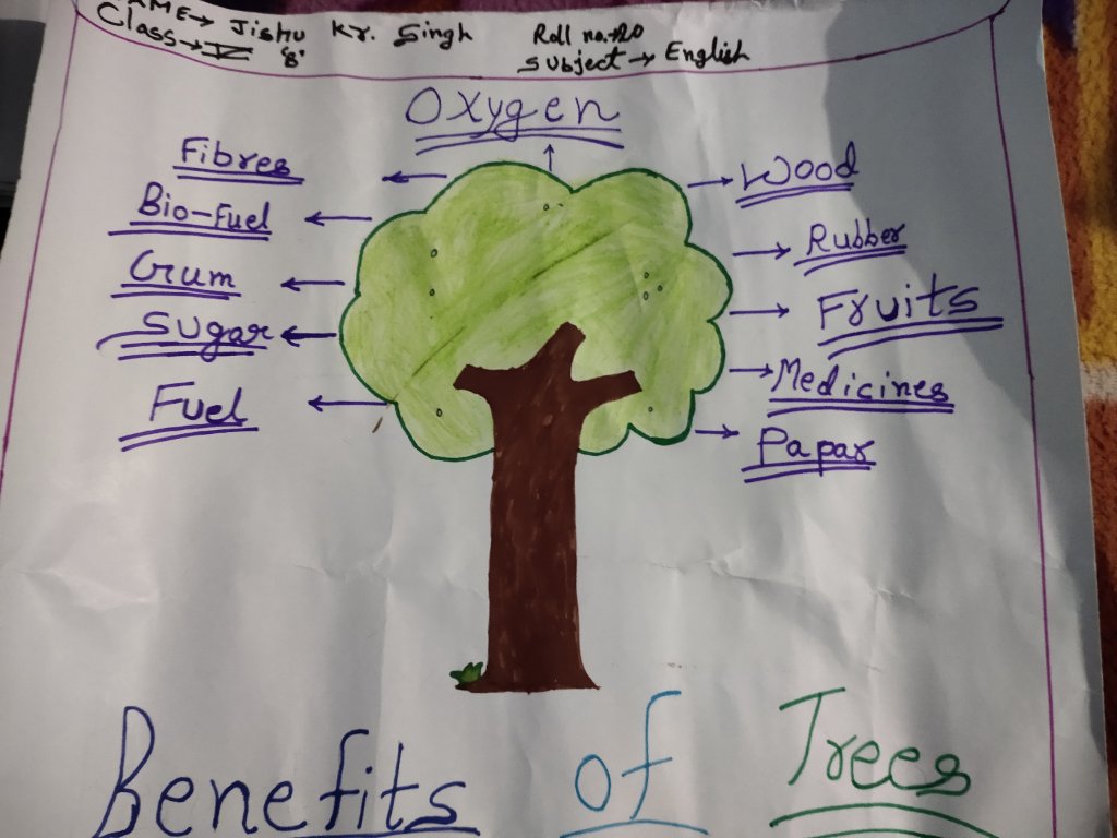 Bebefits Of Tree By Jishu - Paper - 1024x768 Wallpaper - teahub.io