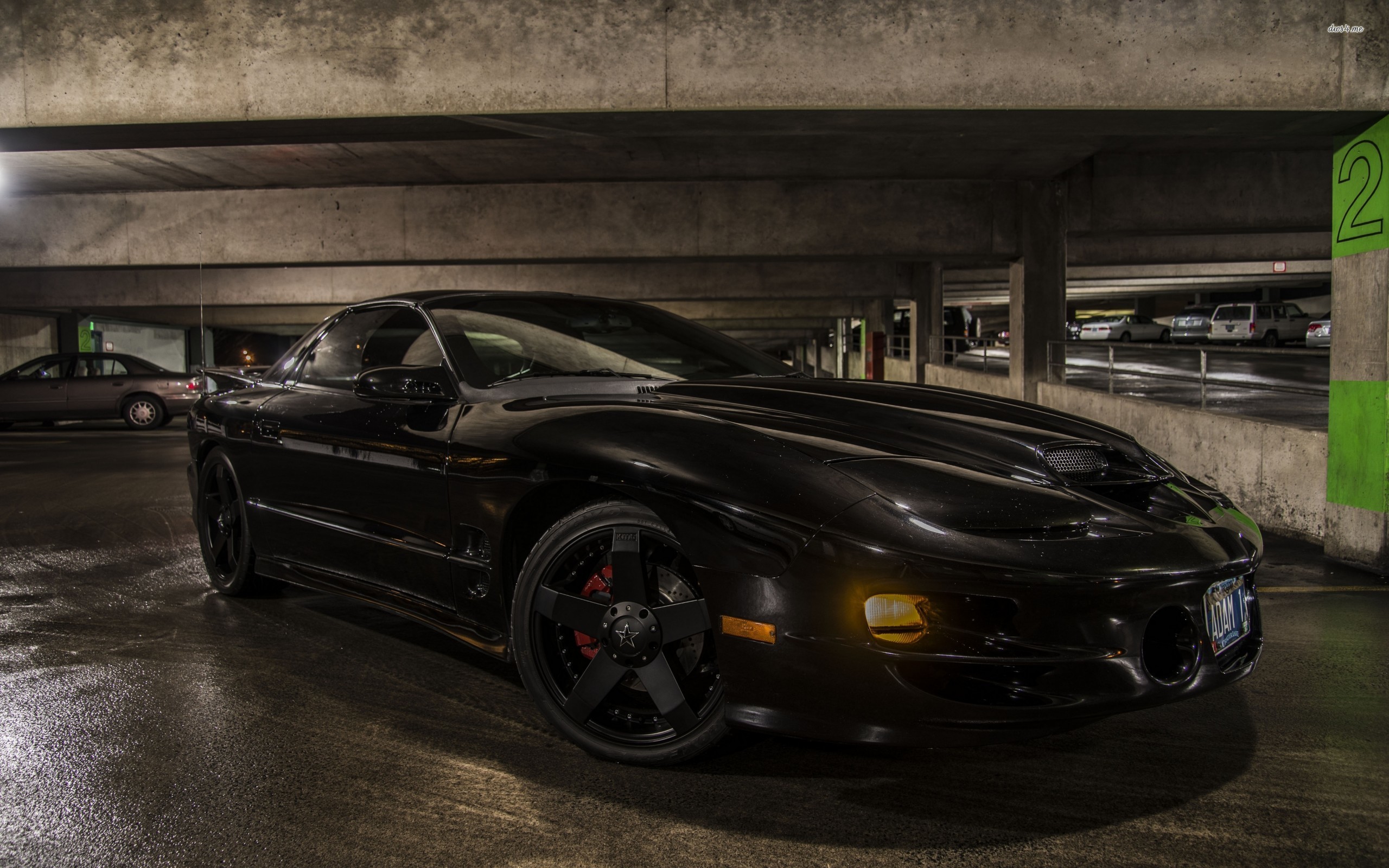 4k Wallpaper Trans Am - 2560x1600 Wallpaper - teahub.io