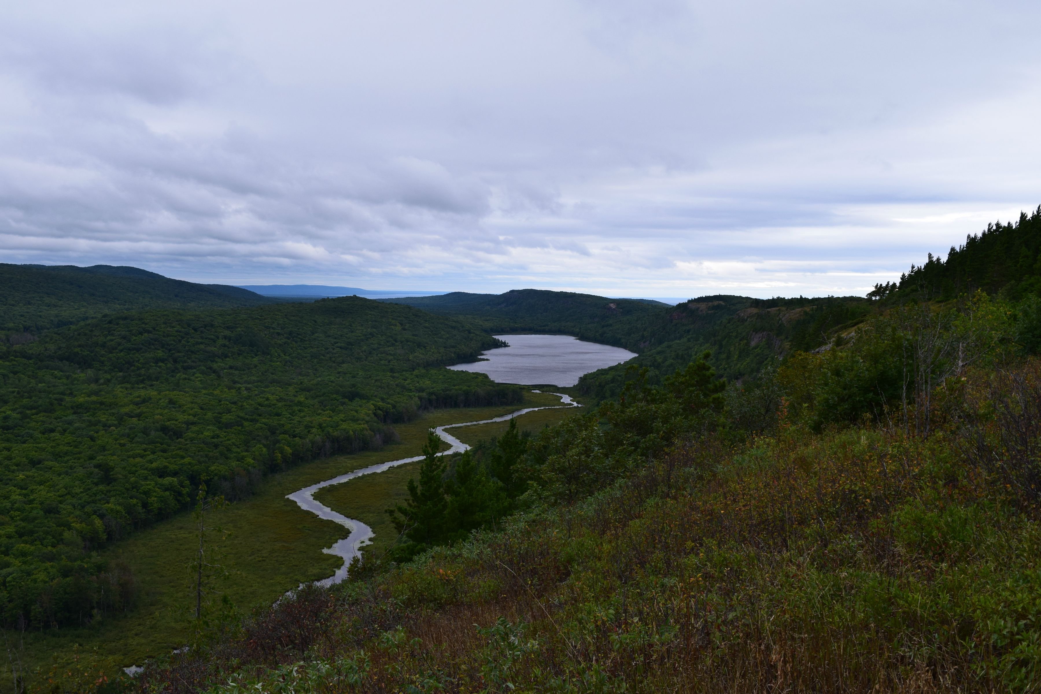 Porcupine Tree Wallpaper - 3600x2400 Wallpaper - teahub.io