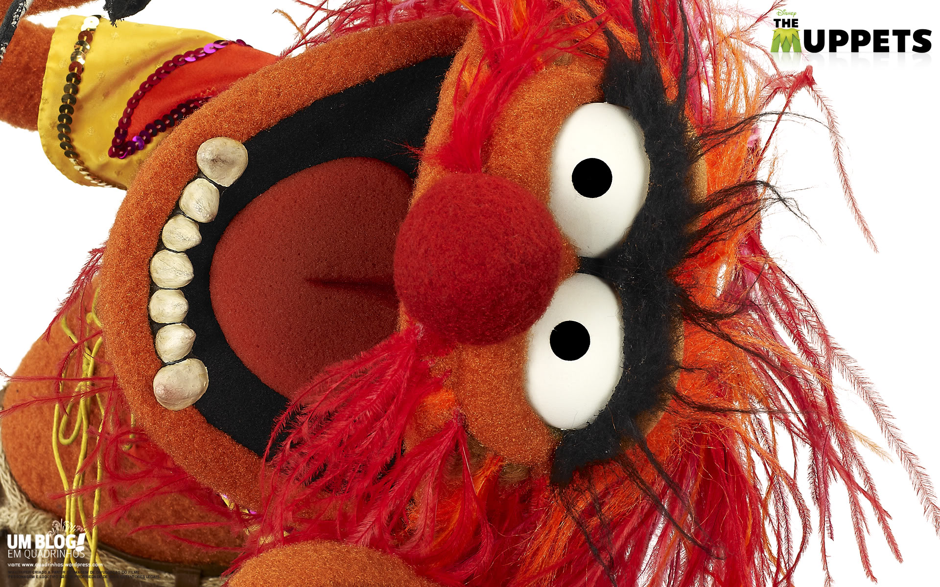 Muppet Rock And Roll - 1920x1200 Wallpaper - teahub.io