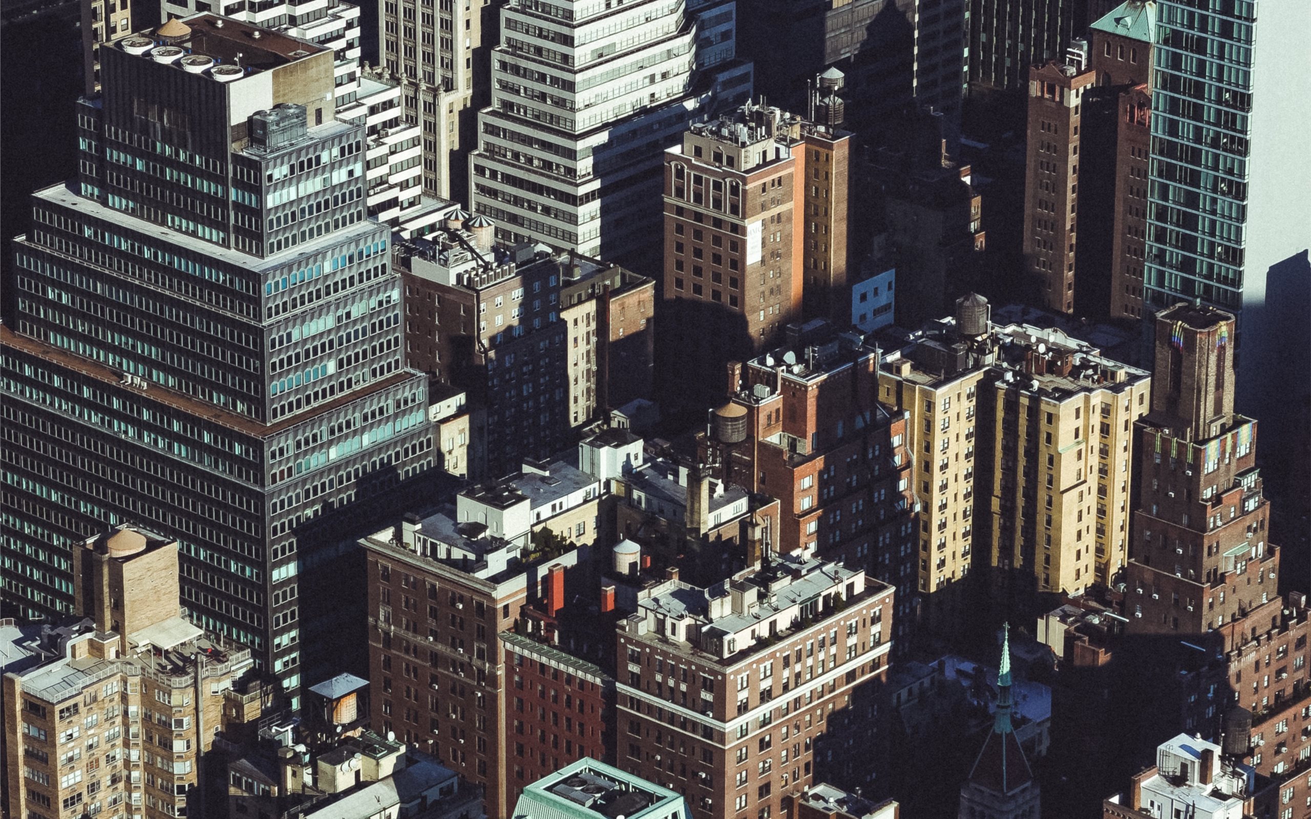 Tmt Wallpaper - 2560x1600 Wallpaper - teahub.io