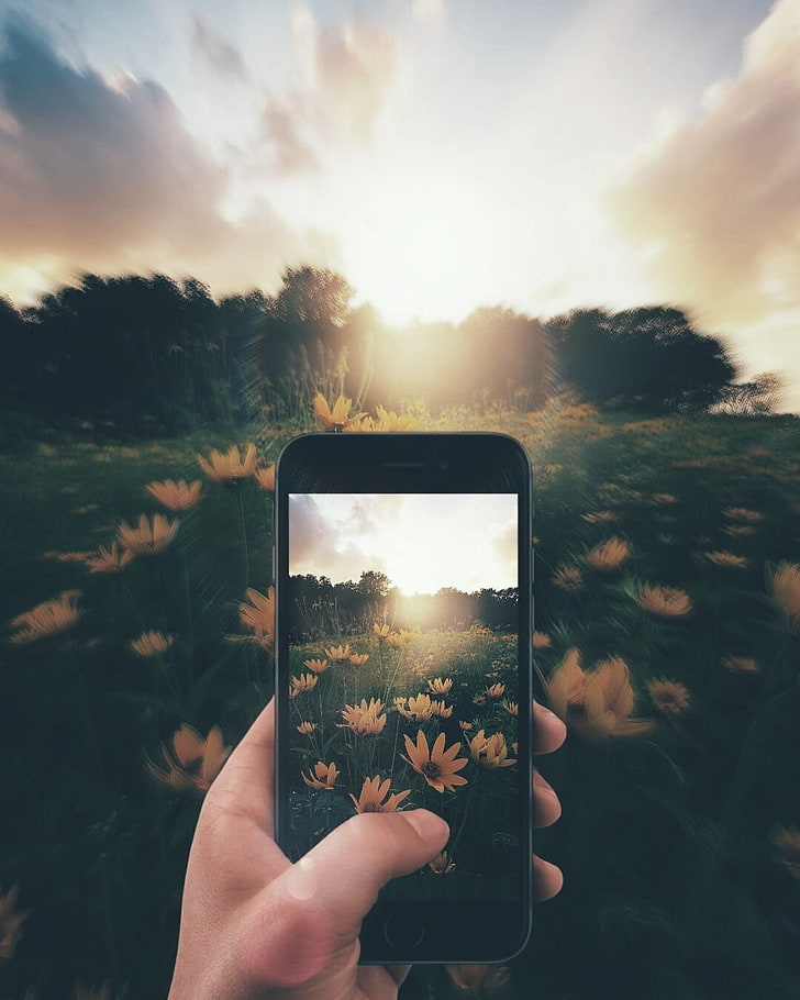 Faded, Photography, Edit, Landscape, Human Hand, Photography ...