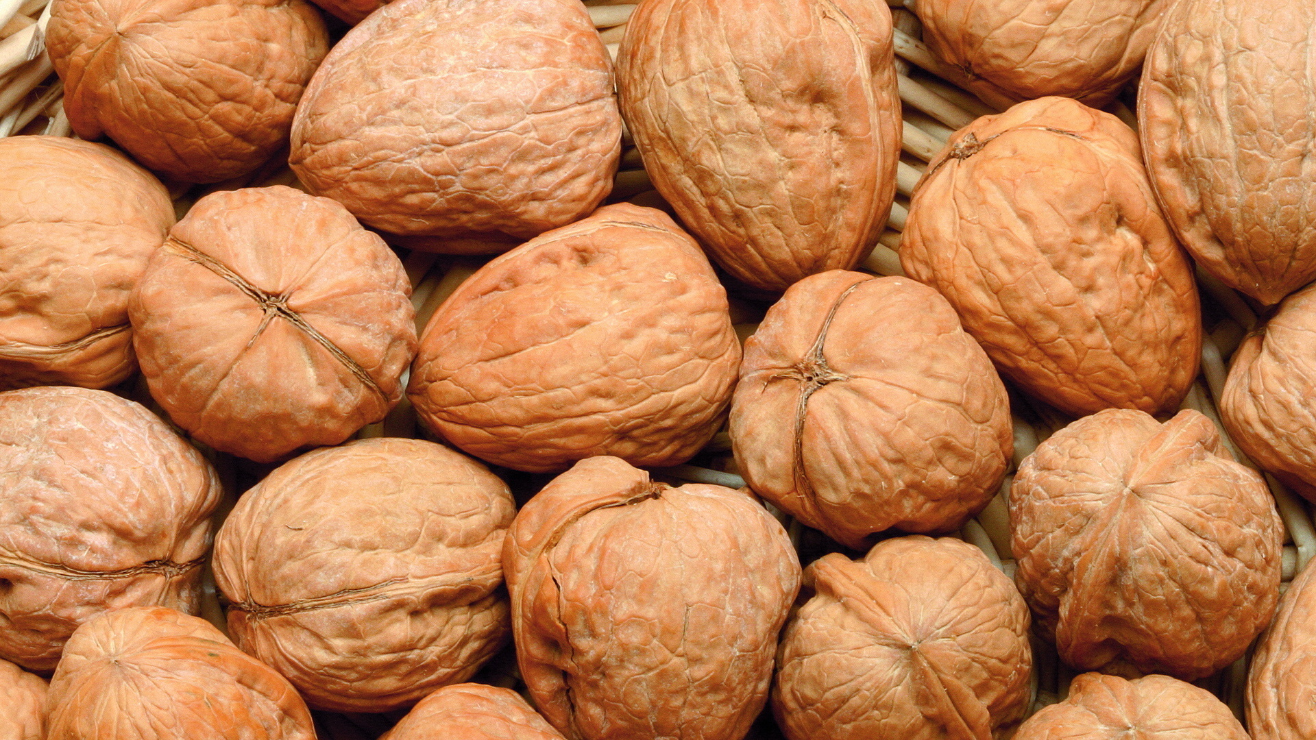 Walnut Images Hd - 1920x1080 Wallpaper - teahub.io