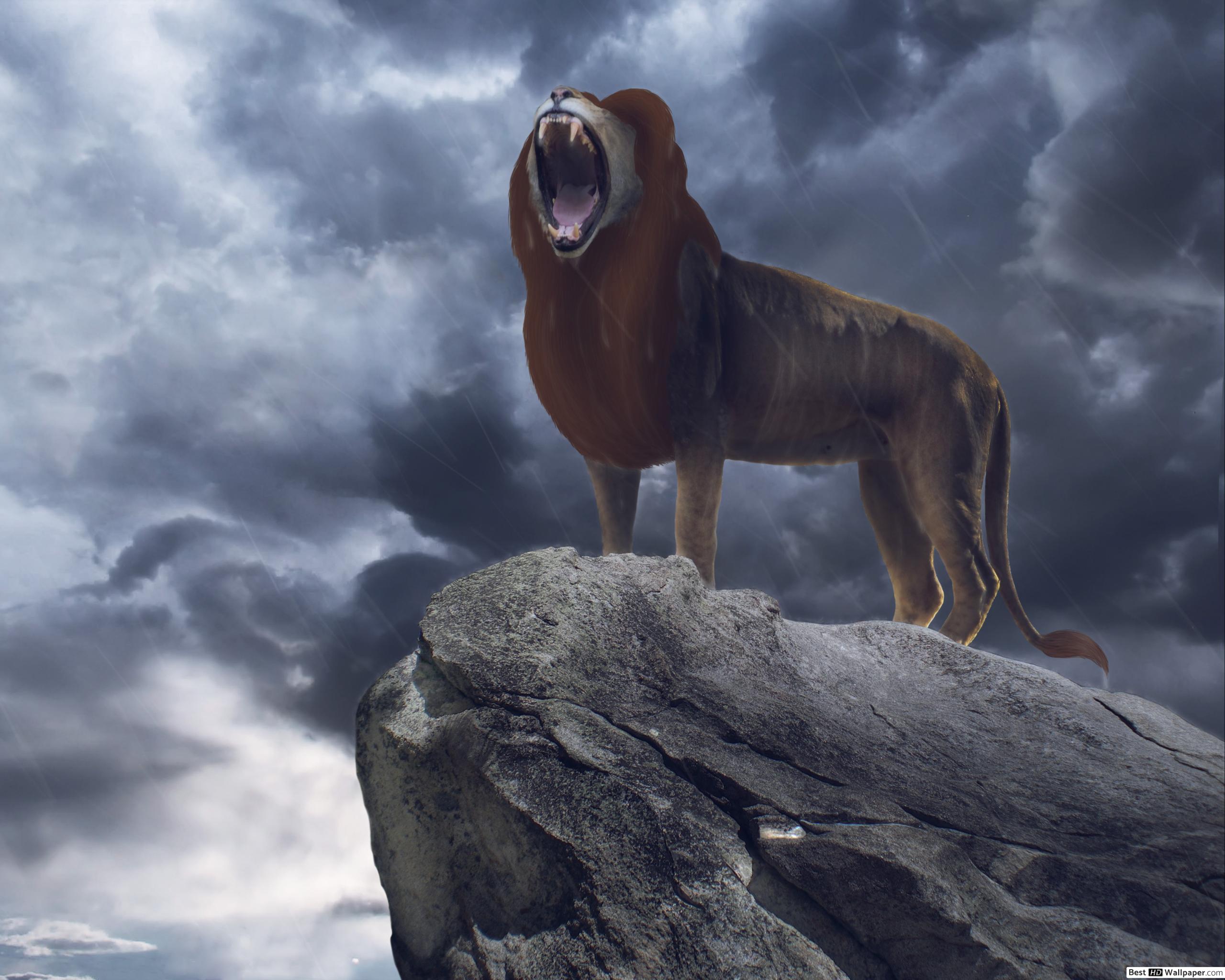 Lion King Simba Roaring - 2560x2048 Wallpaper - teahub.io