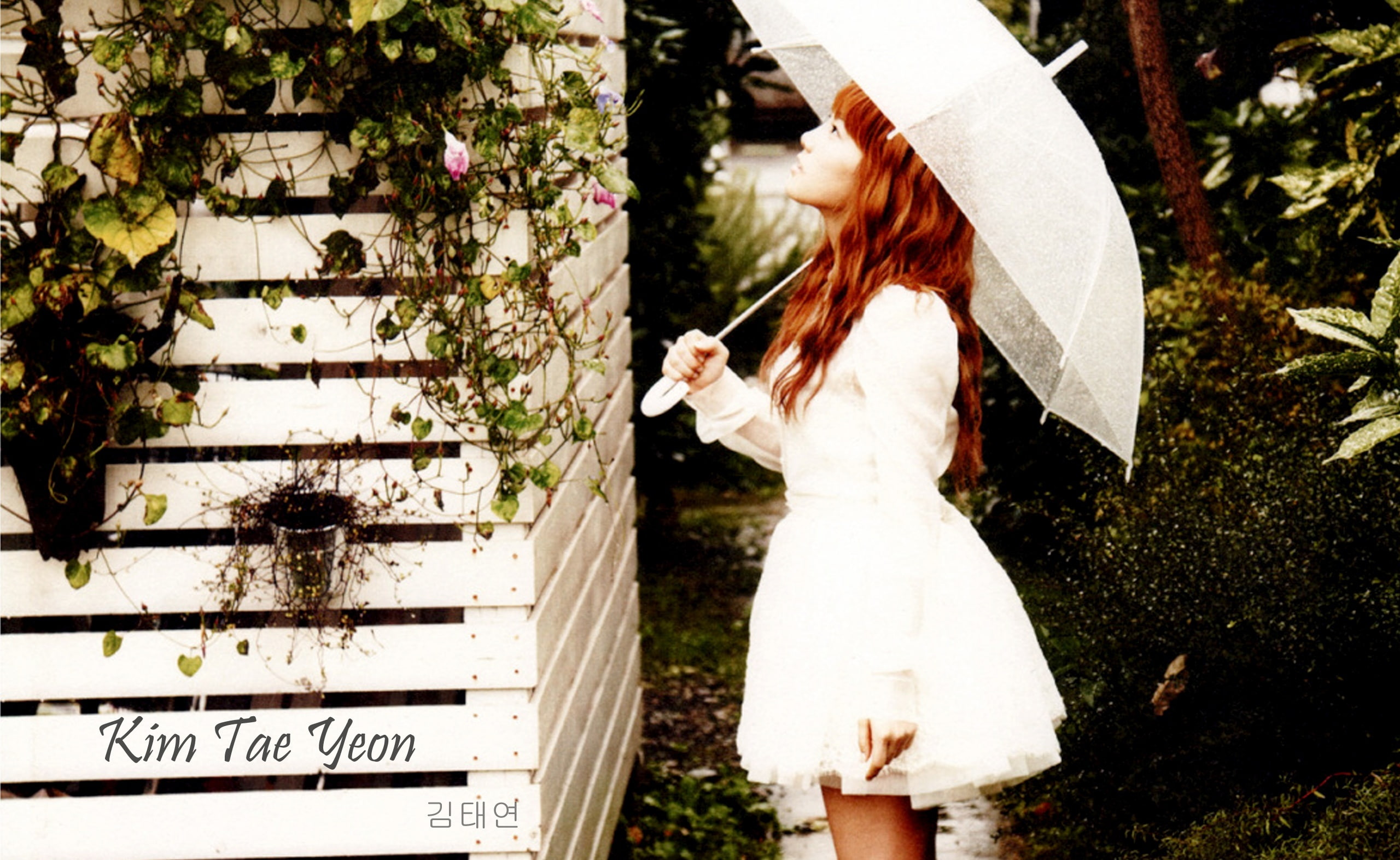 Taeyeon Wallpaper Iphone - 2560x1573 Wallpaper - teahub.io