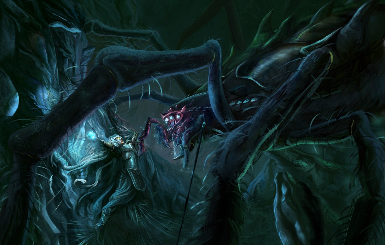Photo Wallpaper Web, Spider, Art, The Lord Of The Rings, - Fantasy ...