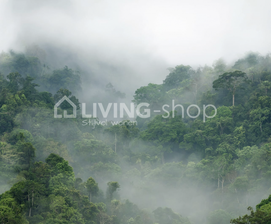 Tropical Rainforest Humidity - 930x771 Wallpaper - teahub.io