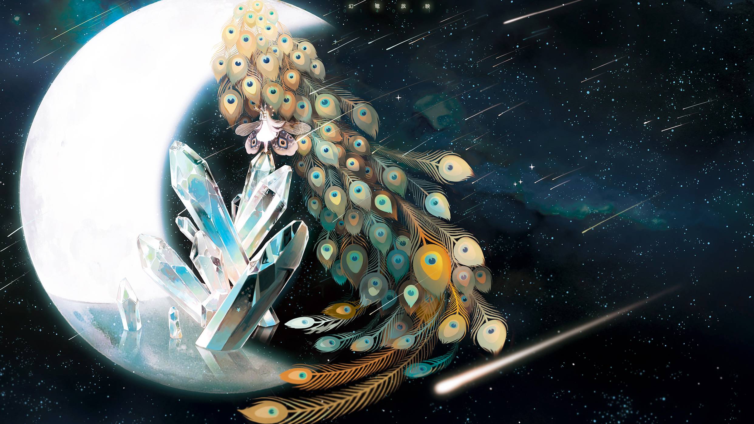 Facebook Cover Peacock - 2483x1397 Wallpaper - teahub.io