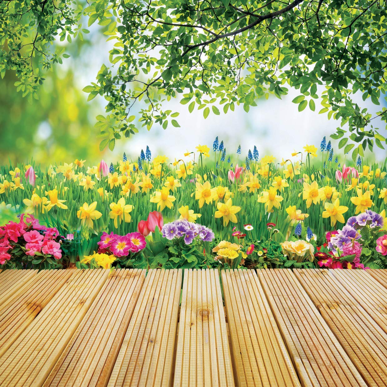 Download Flower Photography Background - Teahub.io