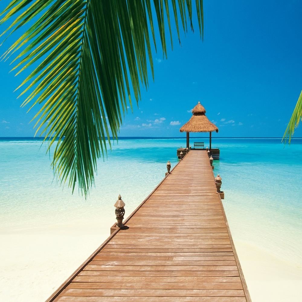 Beach Pier - 1000x1000 Wallpaper - teahub.io