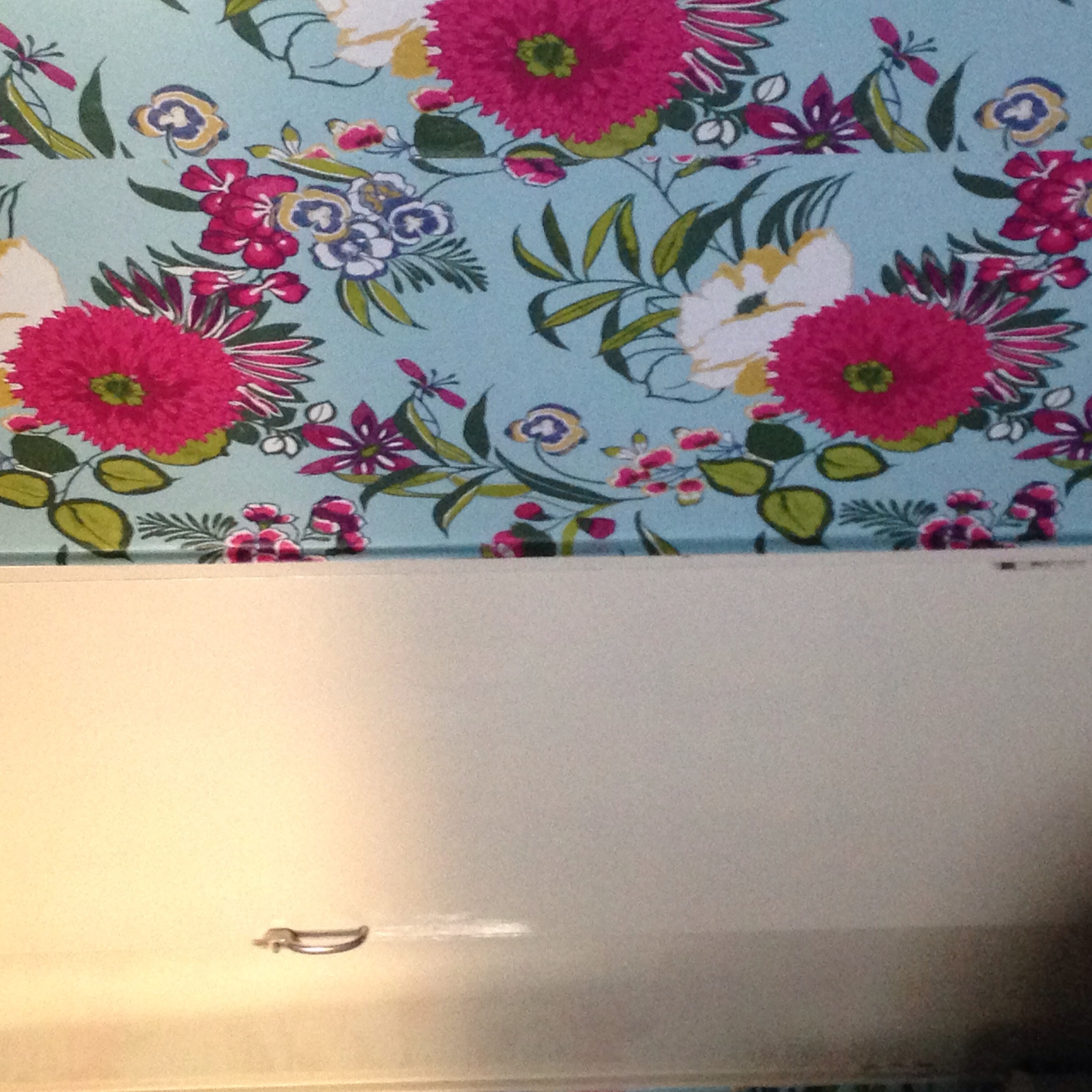 Naraz Wallpaper - 2438x2438 Wallpaper - teahub.io