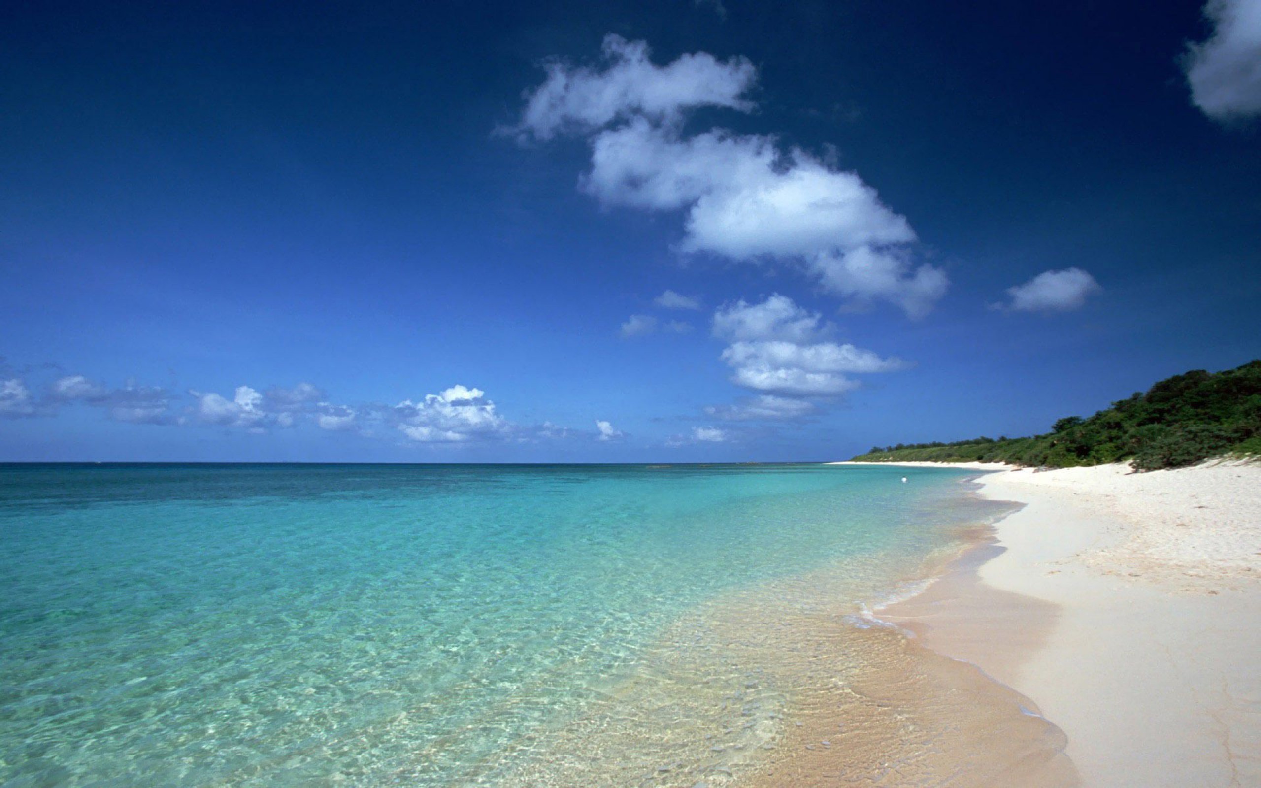 Beach Ridge - 2560x1600 Wallpaper - teahub.io