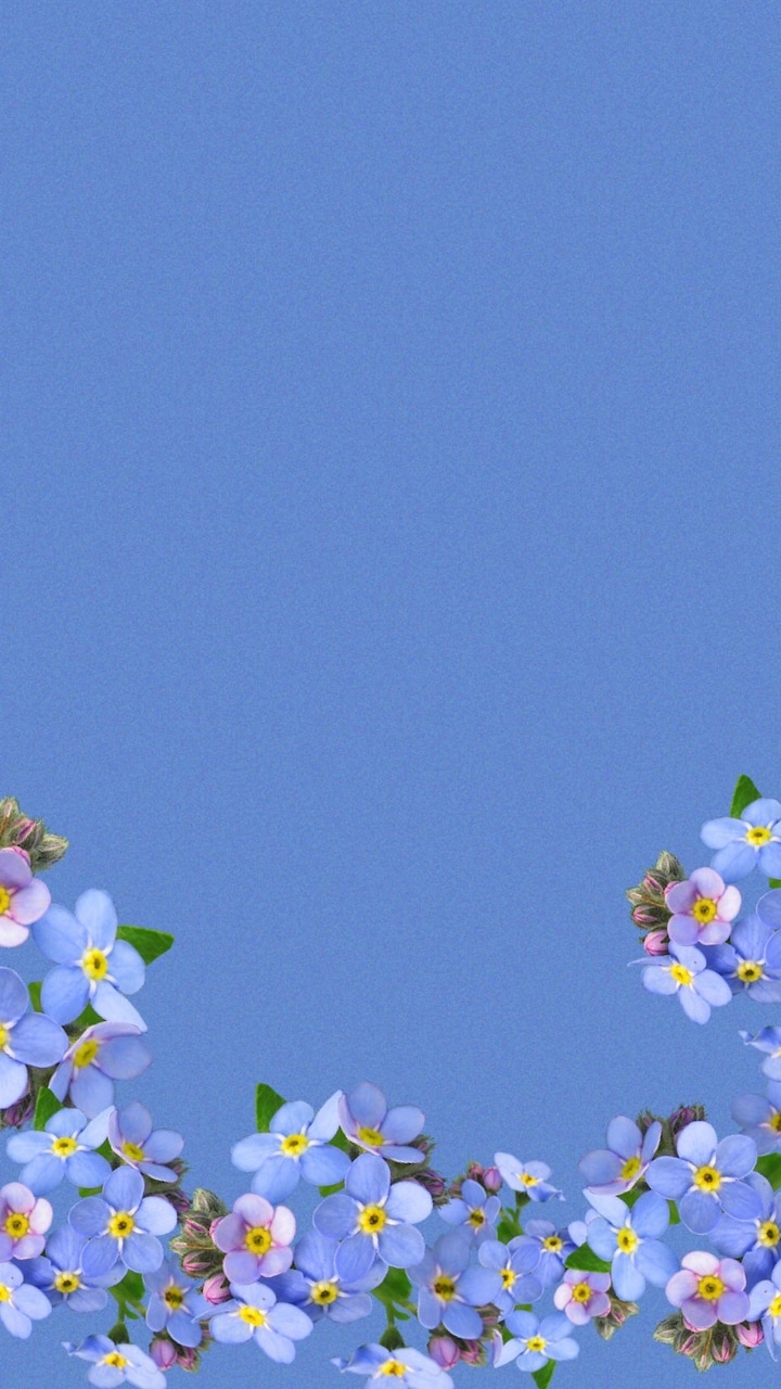 Flowers, Forget Me Not, And Wallpaper Image - Forget-me-not - 720x1280 ...