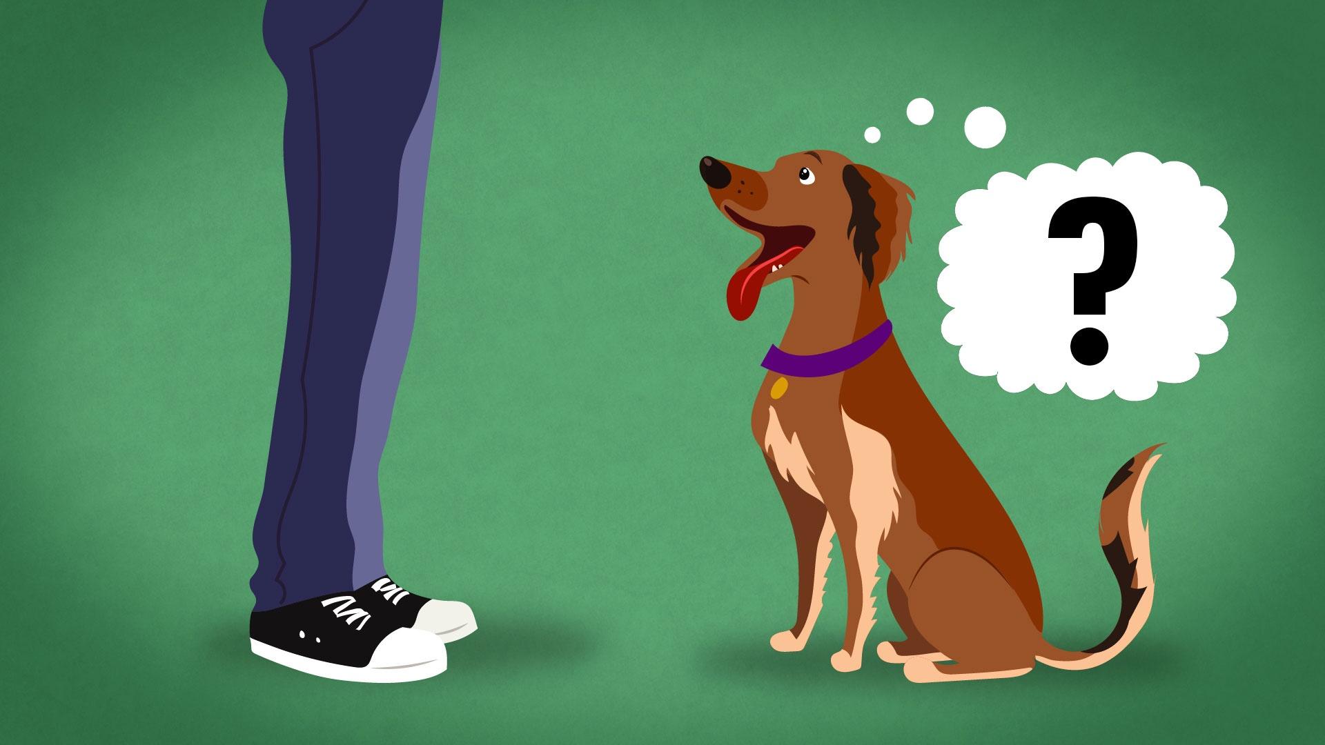 It's Okay To Be Smart - 1920x1080 Wallpaper - teahub.io