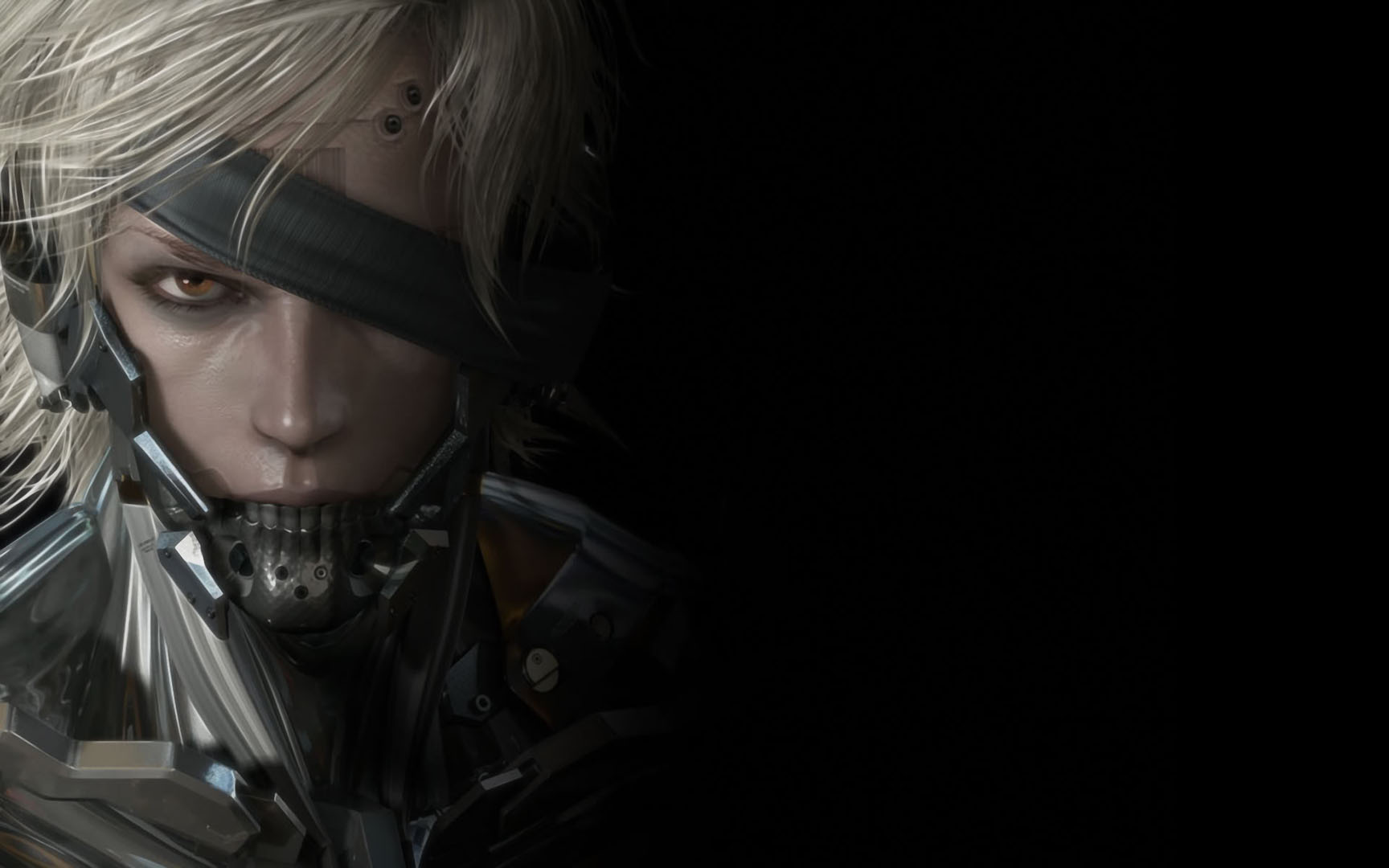 Raiden Mgs4 Wallpaper
