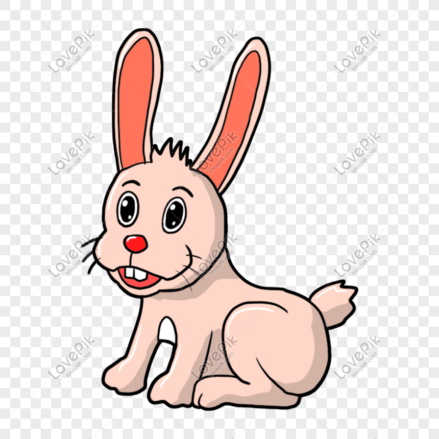 Long Short Tail Clipart - 860x860 Wallpaper - teahub.io