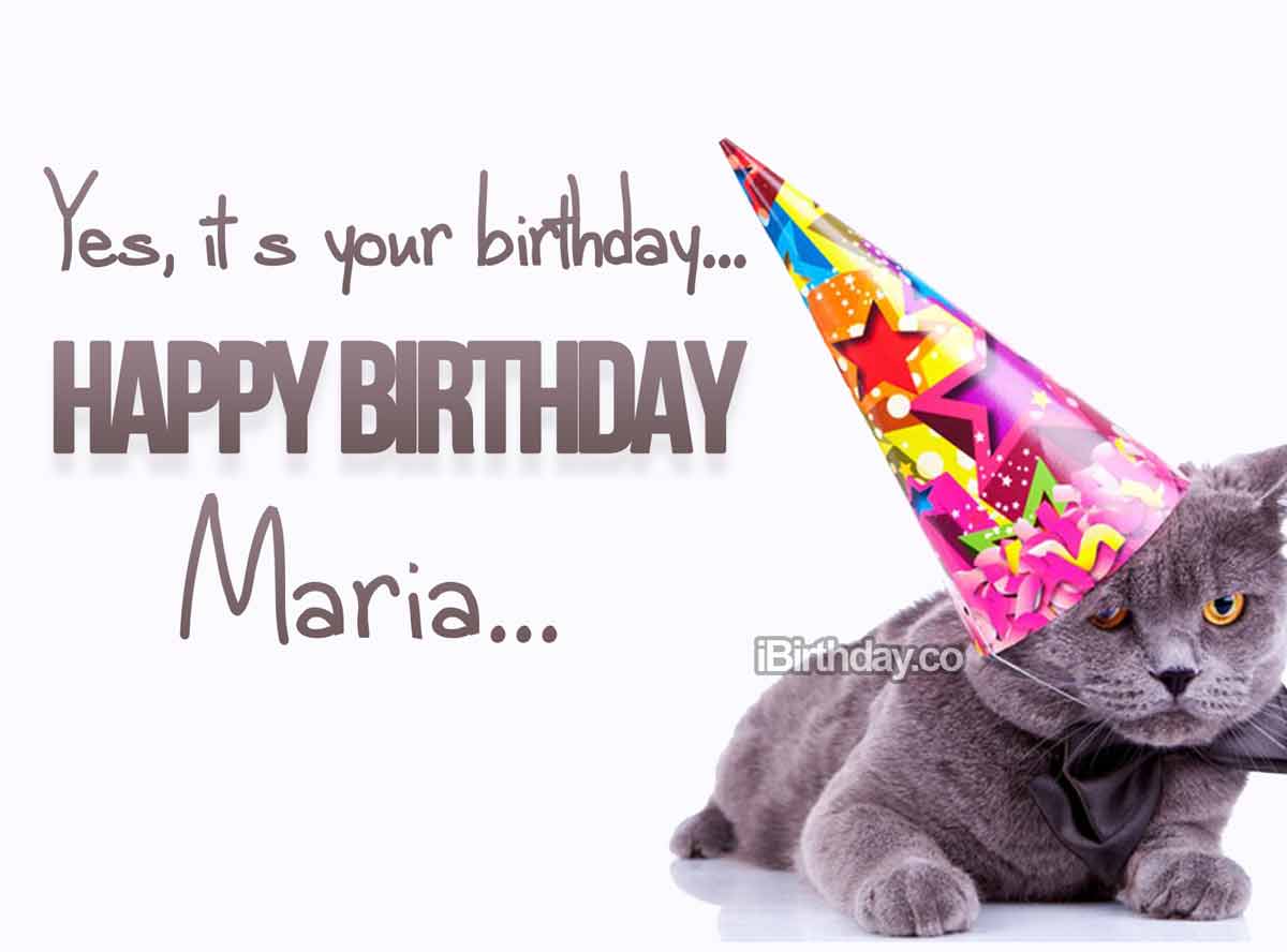 Maria Cat Birthday Wish - 1200x888 Wallpaper - teahub.io