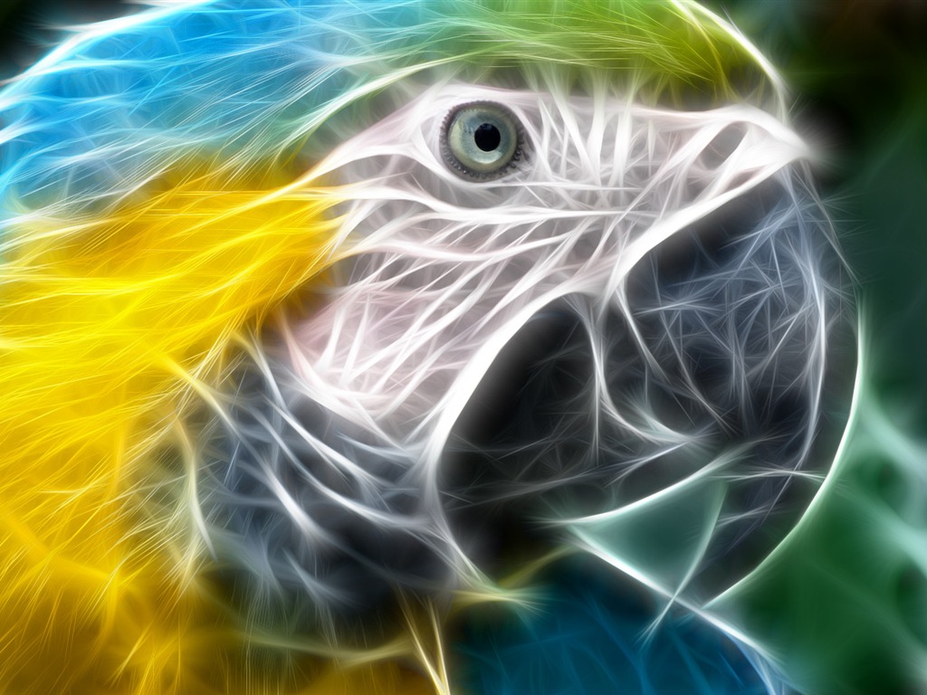 Cool Animal Wallpaper Light - Light Cool Animal Backgrounds - 1024x768 ...