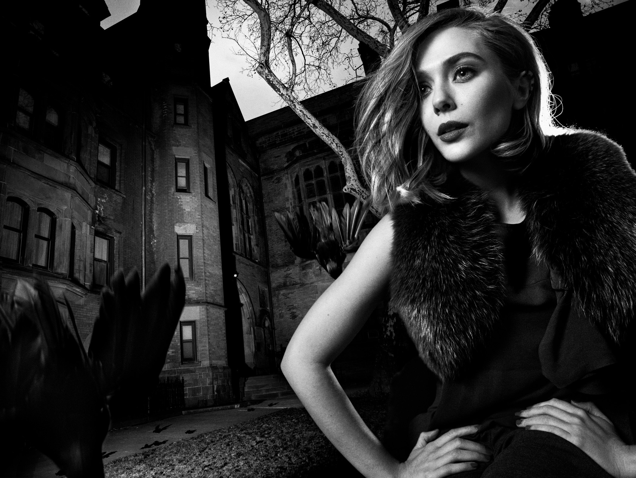 Vs Magazine Elizabeth Olsen - 2129x1600 Wallpaper - teahub.io