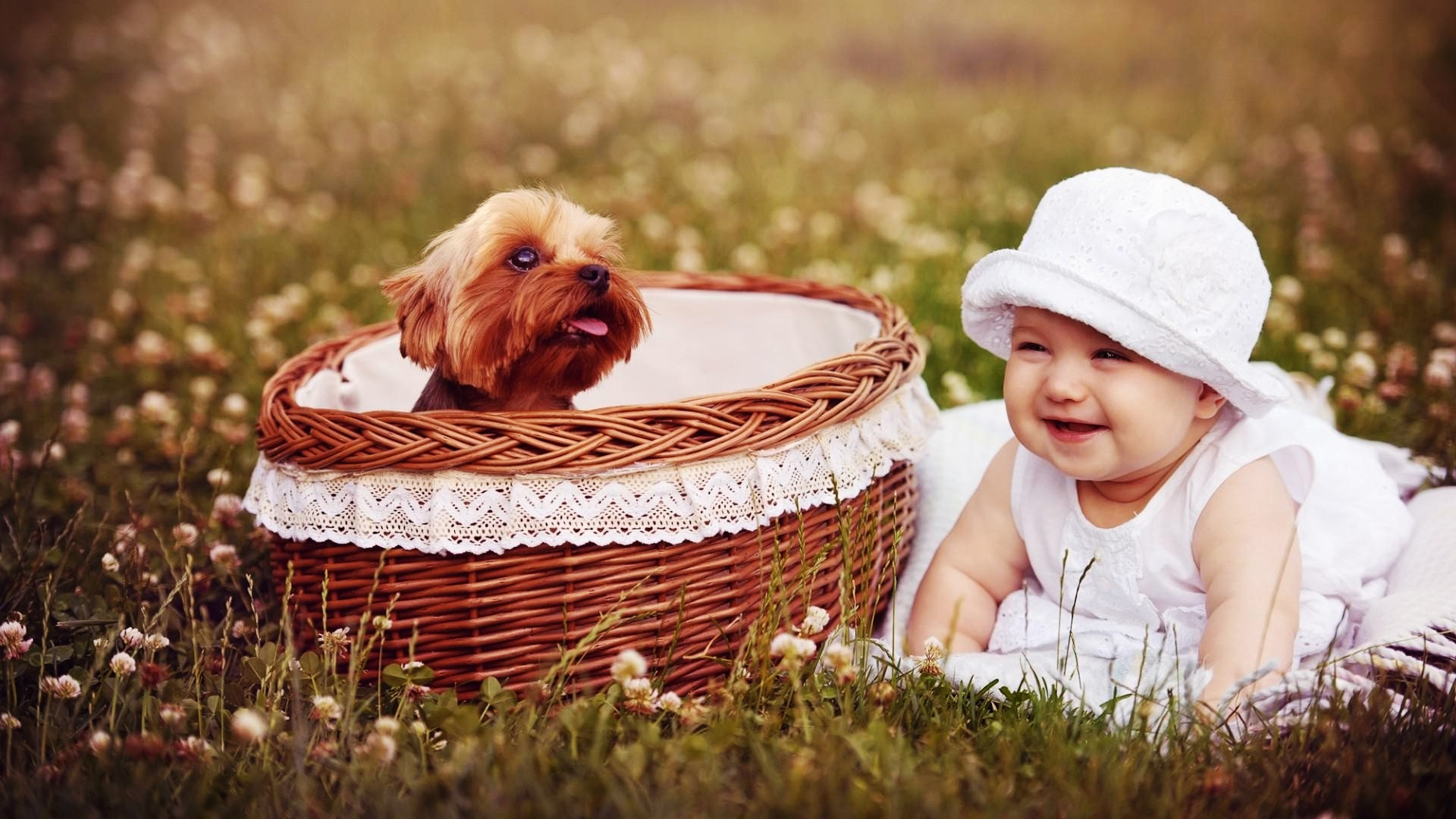 Small Baby Photos Wallpapers - Baby Desktop Wallpaper Hd - 1920x1080 ...