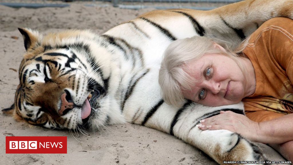 Janice Haley In Orlando With Janda - Life Cycle Of A Tiger Cat ...