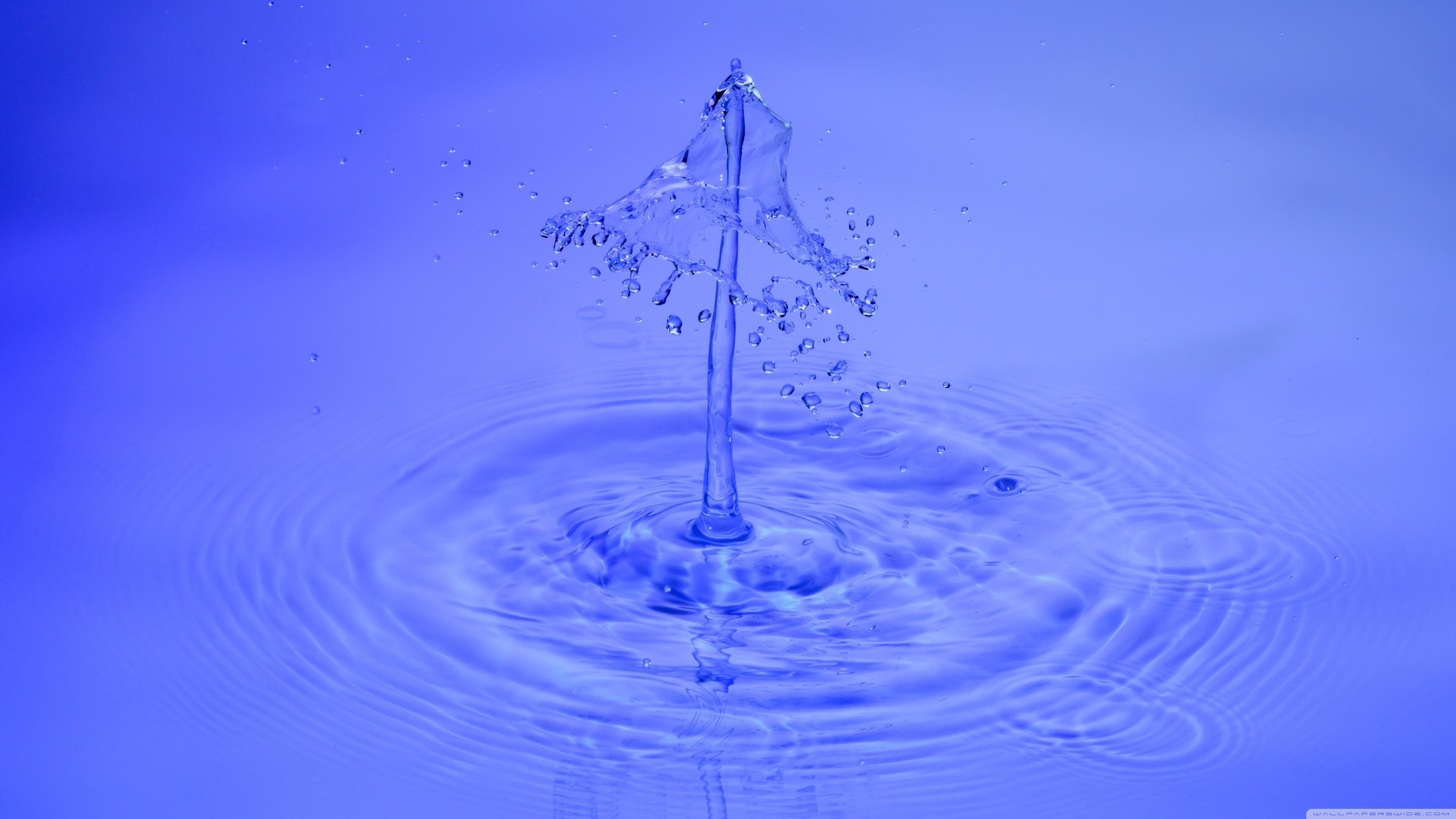 Water Dripping 4k - 3840x2160 Wallpaper - teahub.io