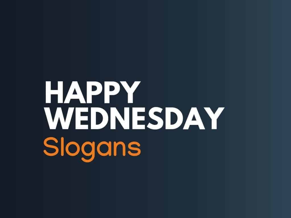 Slogan On Light Pollution - 1024x768 Wallpaper - teahub.io