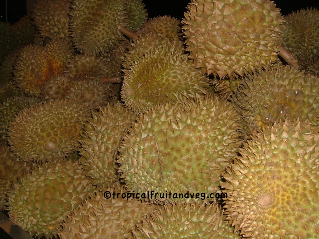Durian - 1024x768 Wallpaper - teahub.io