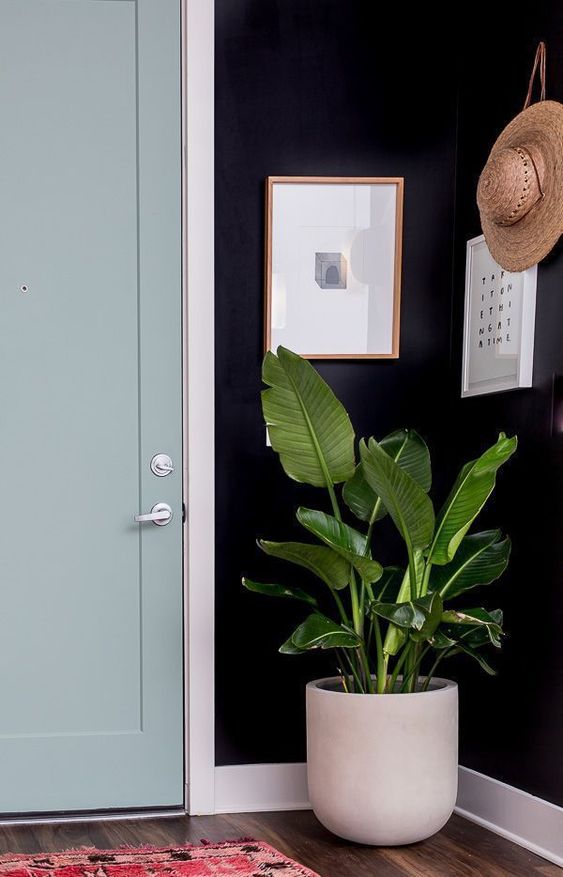 Misty Moss Behr - 563x877 Wallpaper - teahub.io