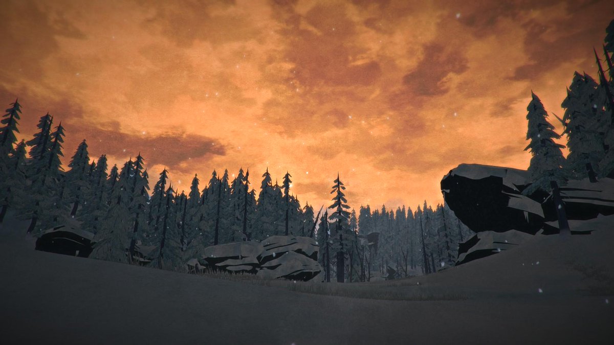 Shortleaf Black Spruce - 1200x675 Wallpaper - teahub.io