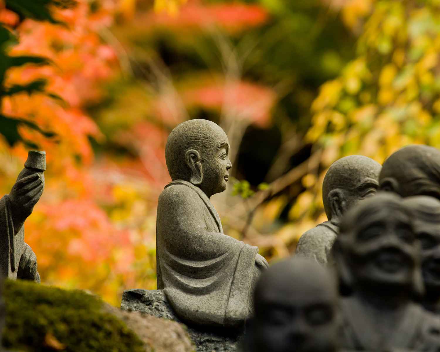 Zen Garden Wallpapers Picture For Free Wallpaper - Autumn Buddha ...
