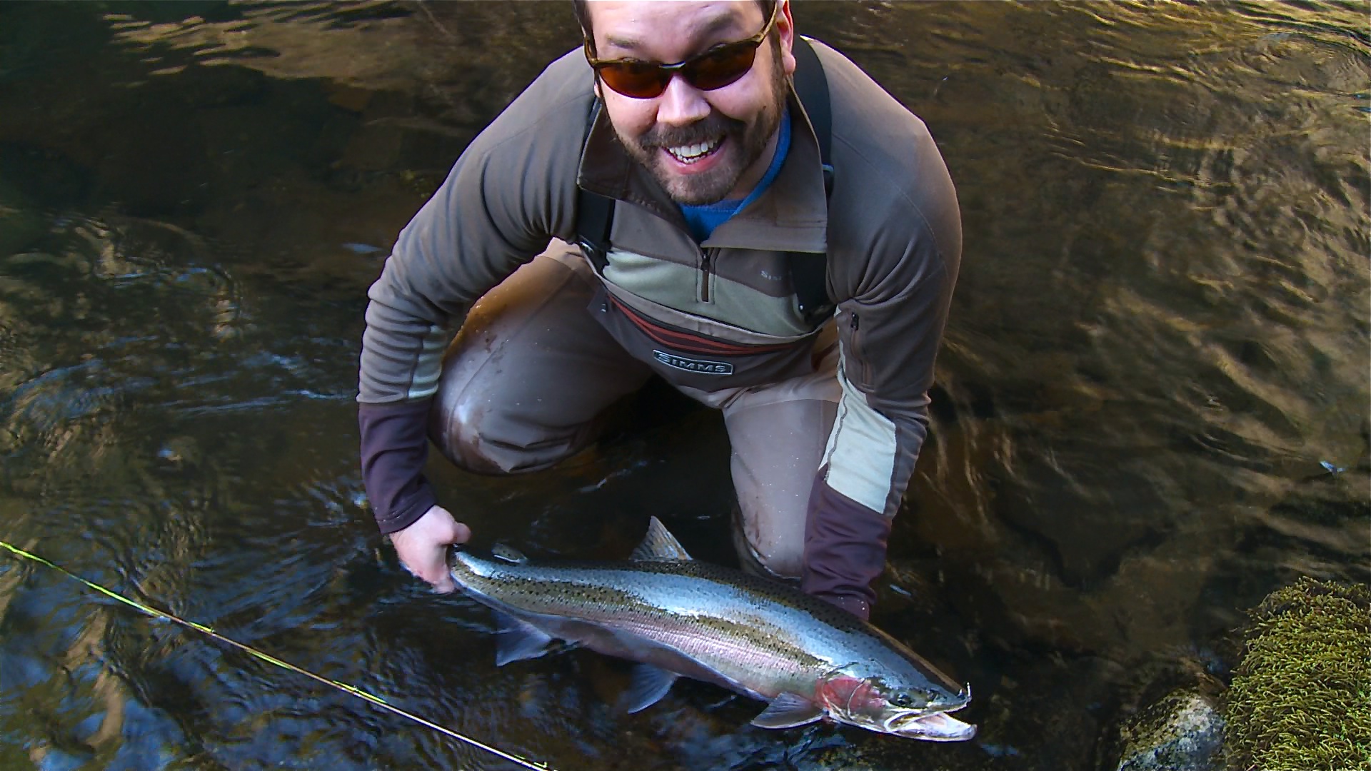 Pull Fish Out Of Water - 1920x1080 Wallpaper - teahub.io