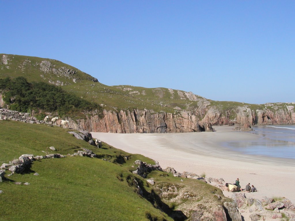 Strände Wie In Der Karibik - Rispond - 1024x768 Wallpaper - teahub.io