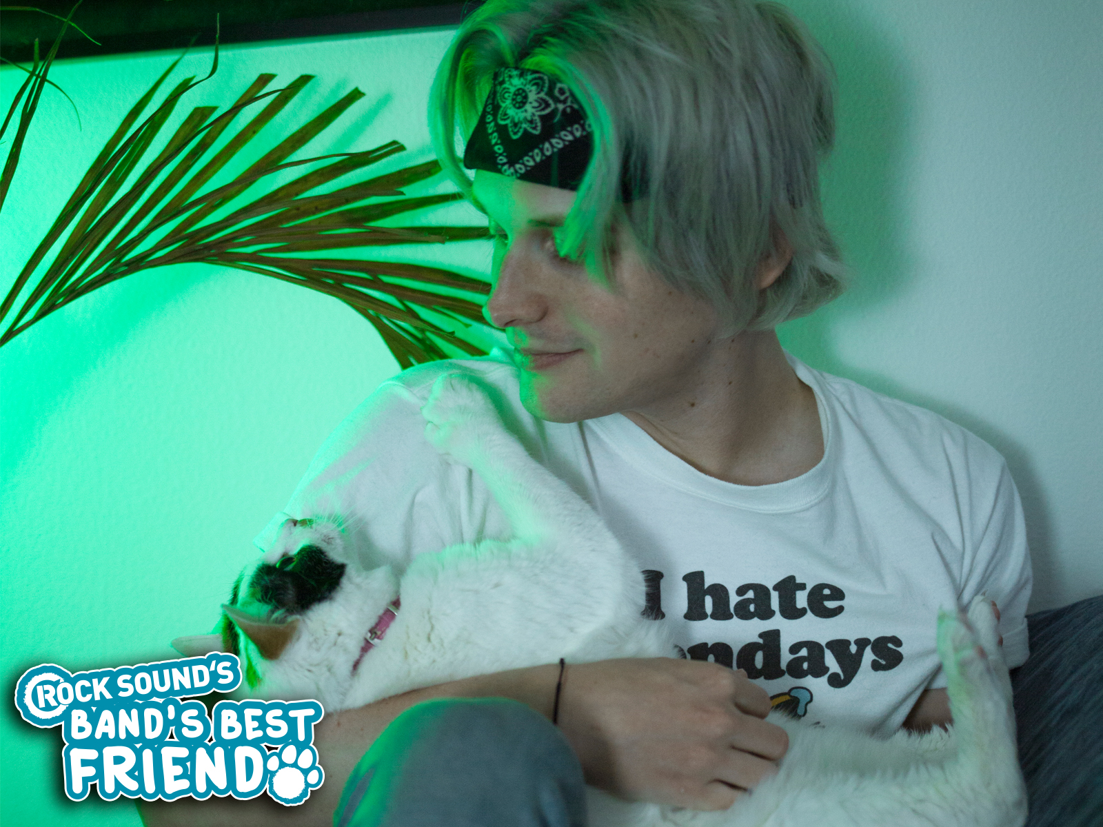 Set It Off Maxx Danziger - 1600x1200 Wallpaper - teahub.io