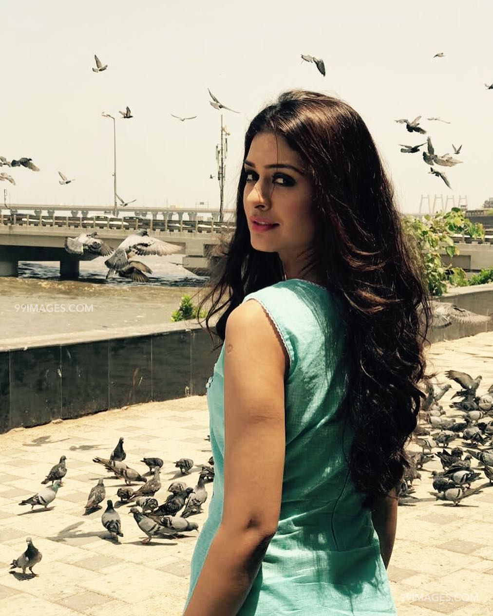 Payal Rajput Beautiful Hd Photos & Mobile Wallpapers - Photo Shoot ...