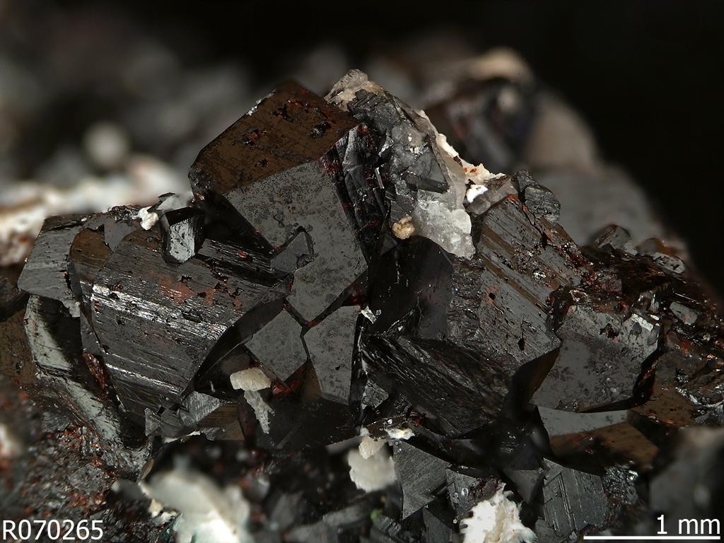 Raman Name Wallpaper - 1024x768 Wallpaper - teahub.io