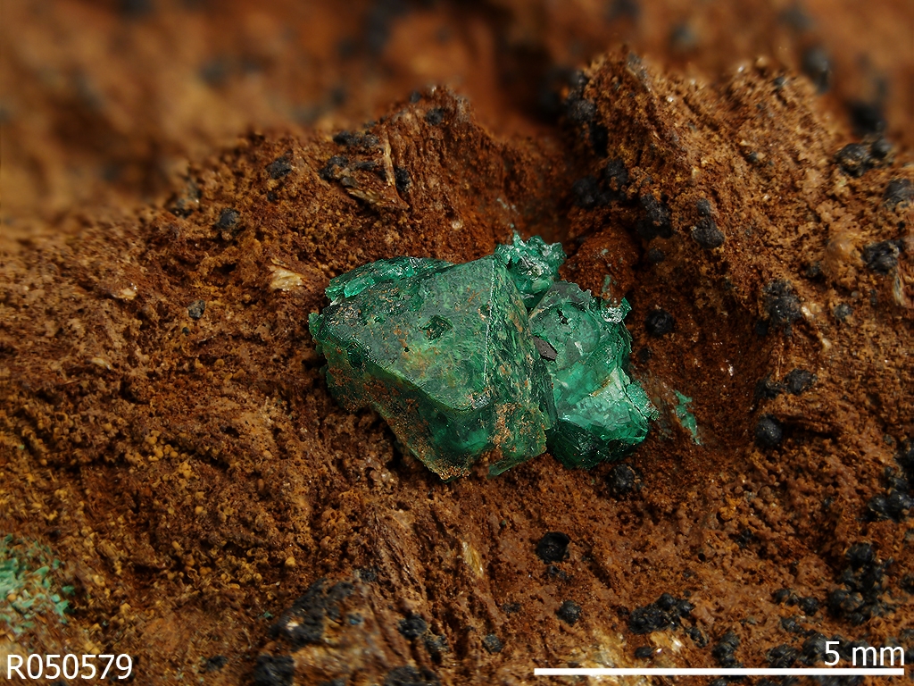 Raman Name Wallpaper - 1024x768 Wallpaper - teahub.io