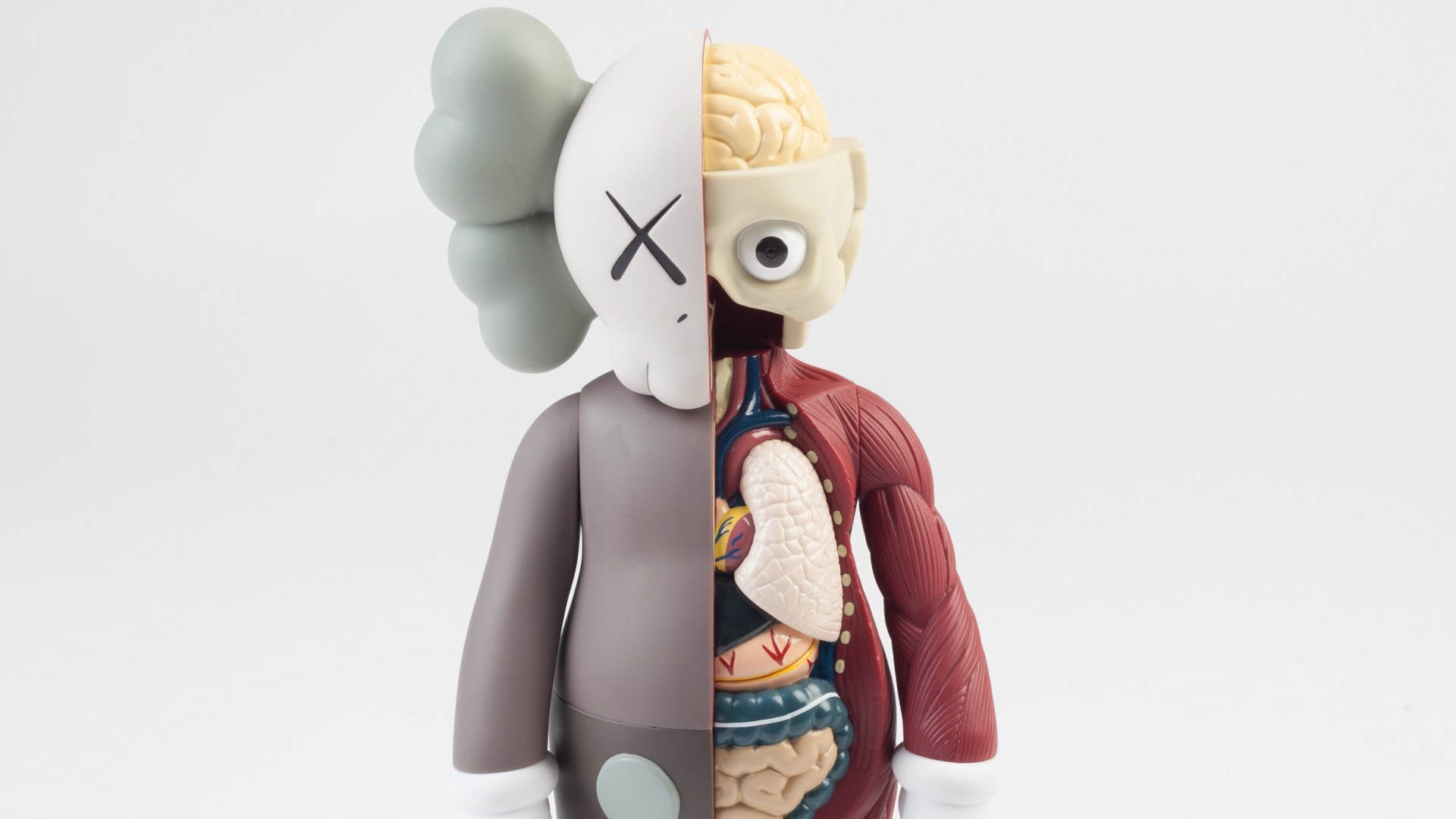 Kaws Anatomy - 1920x1080 Wallpaper - teahub.io
