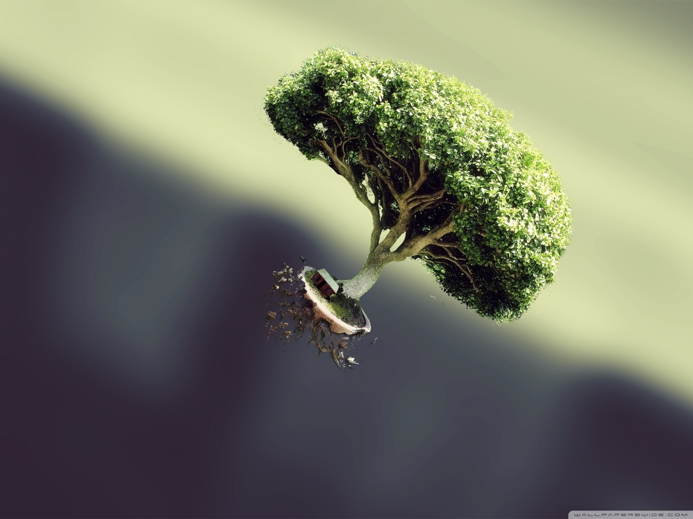 Fly Wallpapers 1080p - 1400x1050 Wallpaper - teahub.io