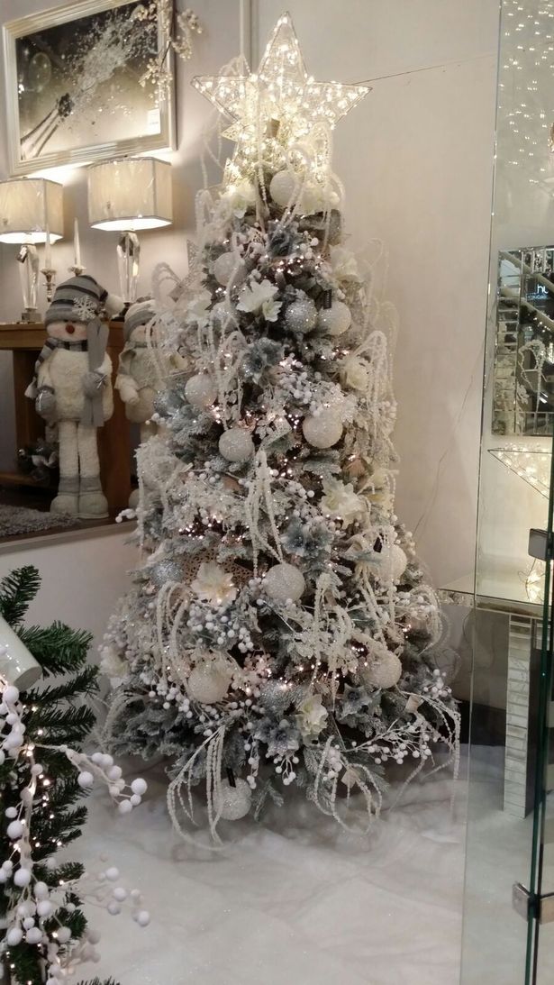 Taskers Christmas Trees 2019 - 615x1093 Wallpaper - teahub.io